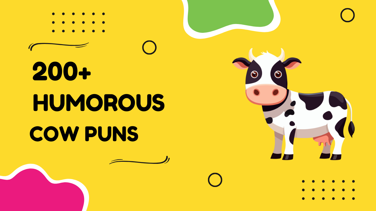200+ Udderly Hilarious Cow Puns for Moo-velous Laughs - punsclub.com