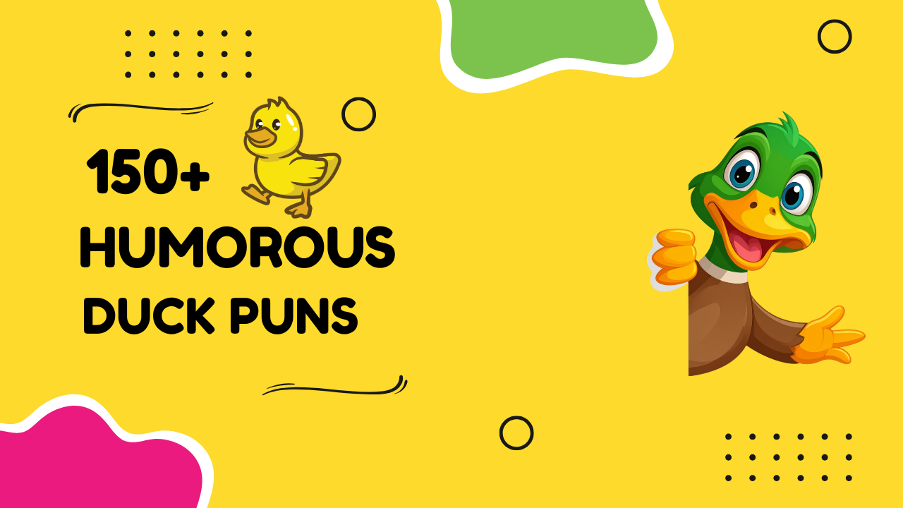 150+ Duck Puns That Will Quack You Up - punsclub.com